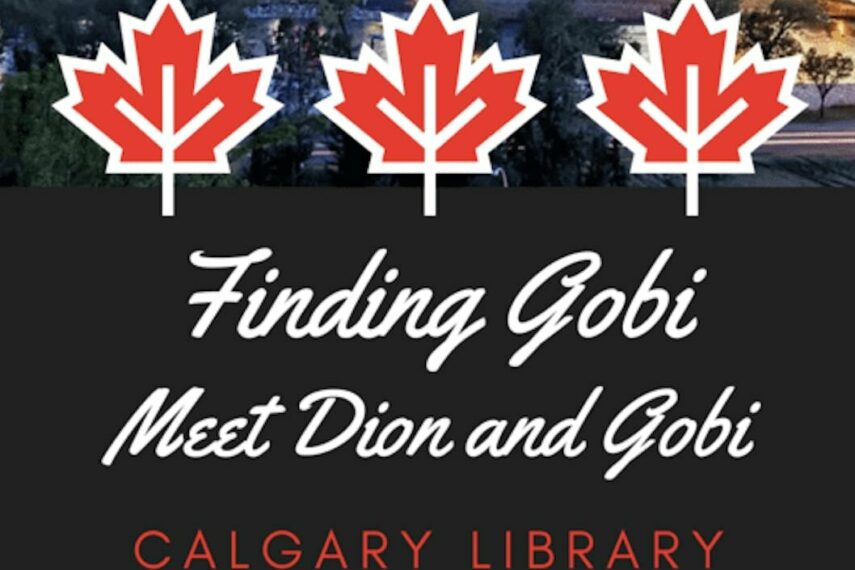 Finding Gobi: Reading and Signing
