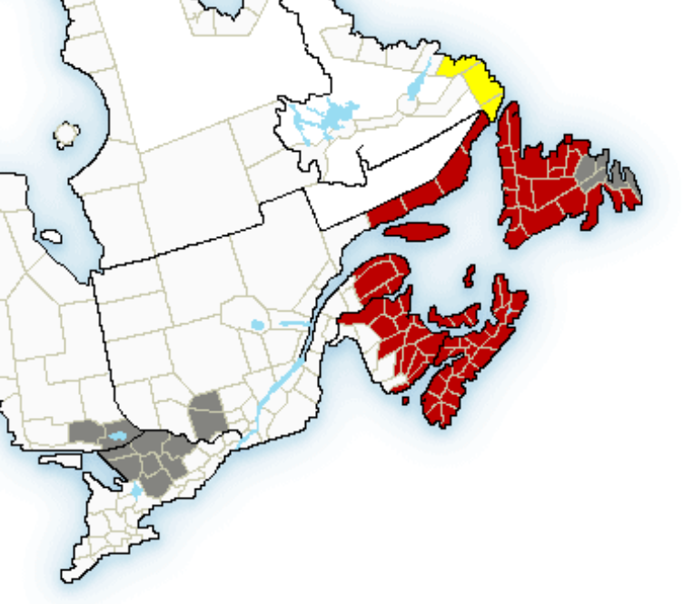Hurricane Warning Issued For PEI, Parts of Nova Scotia and Newfoundland ...