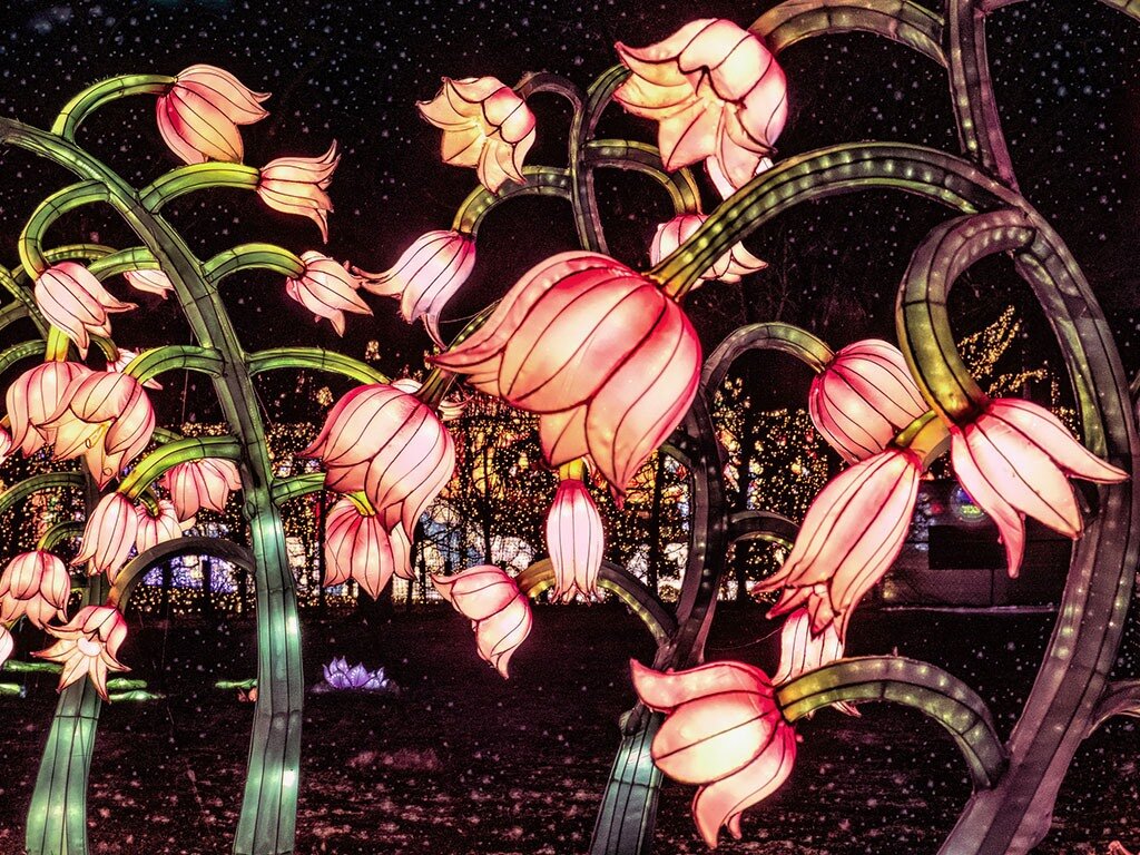 Spectacular Lantern and Light Festival With Over 30 Outdoor Displays ...