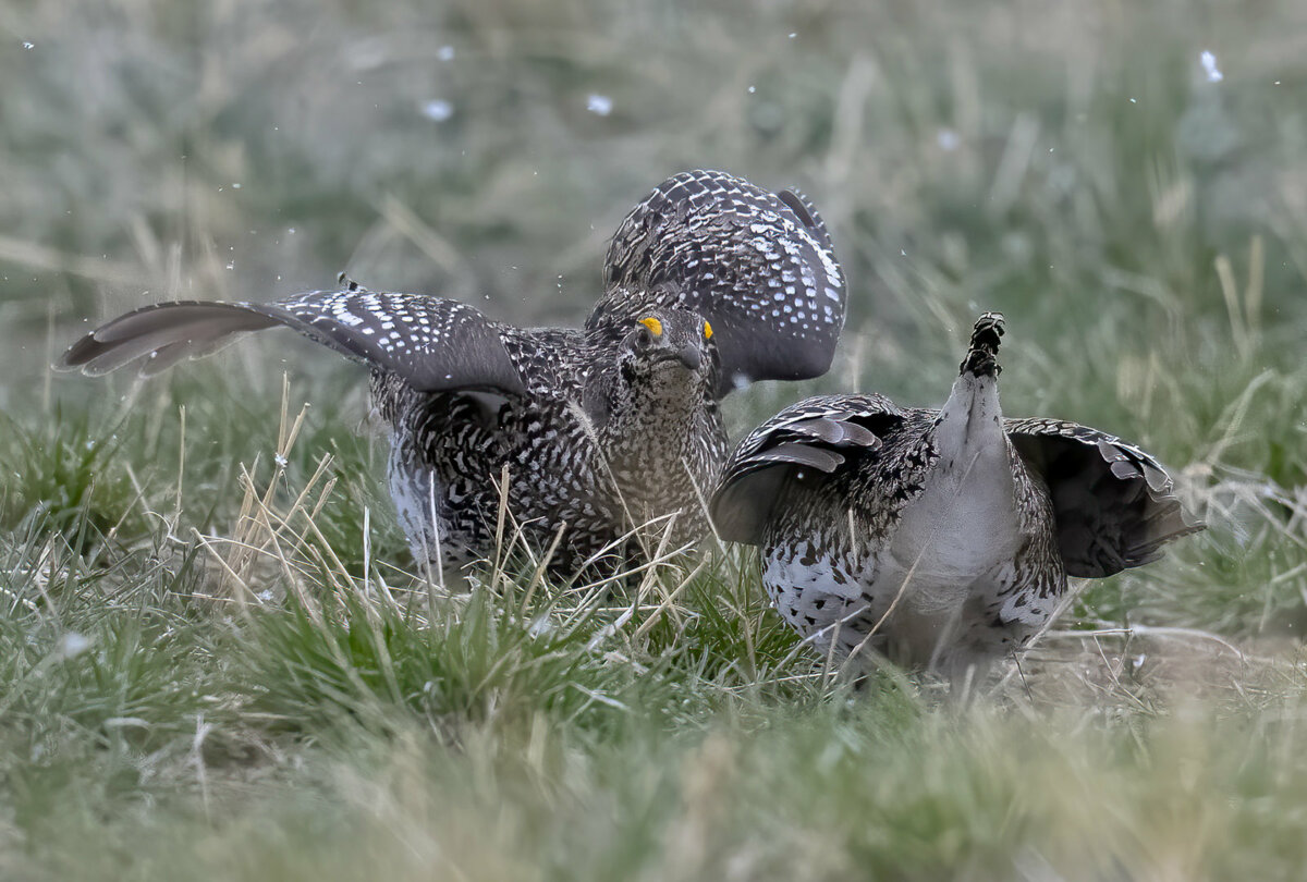 50+ Things to Do This Spring in Saskatchewan