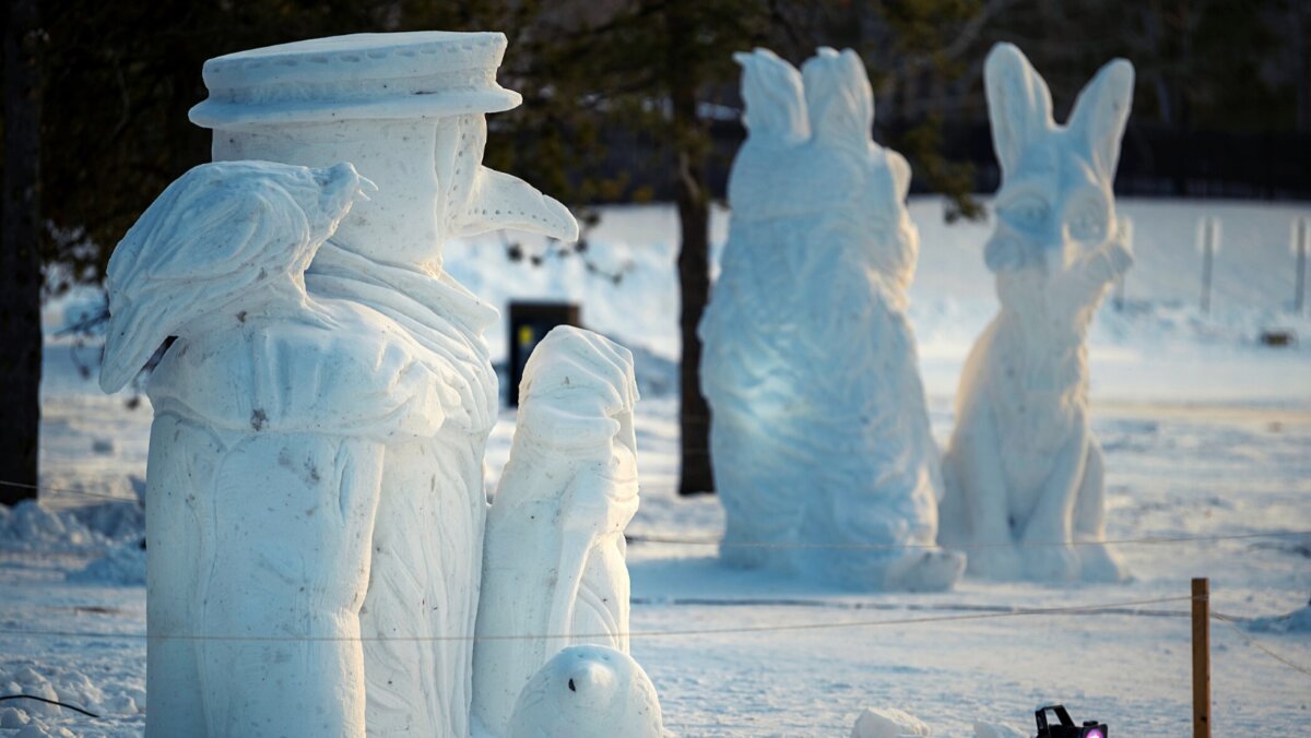 Here Are the Top 10 Ways to Experience the Best of 2022 Silver Skate ...