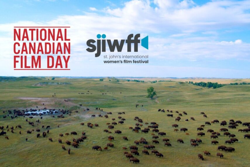 SJIWFF Presents SINGING BACK THE BUFFALO