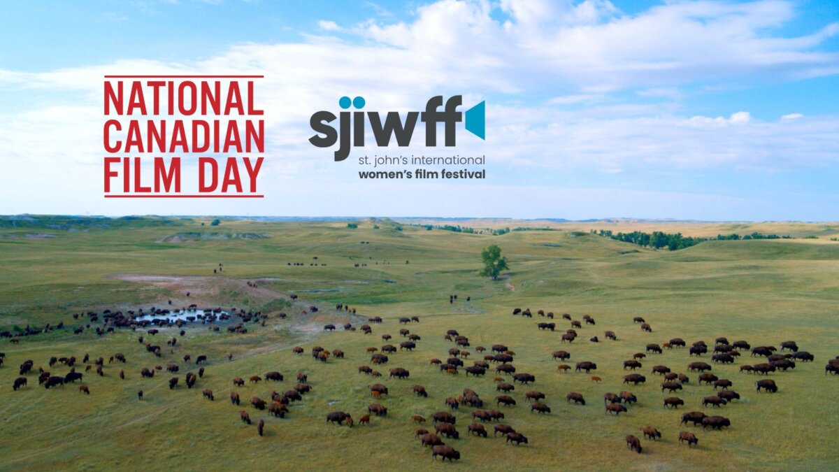 SJIWFF Presents SINGING BACK THE BUFFALO