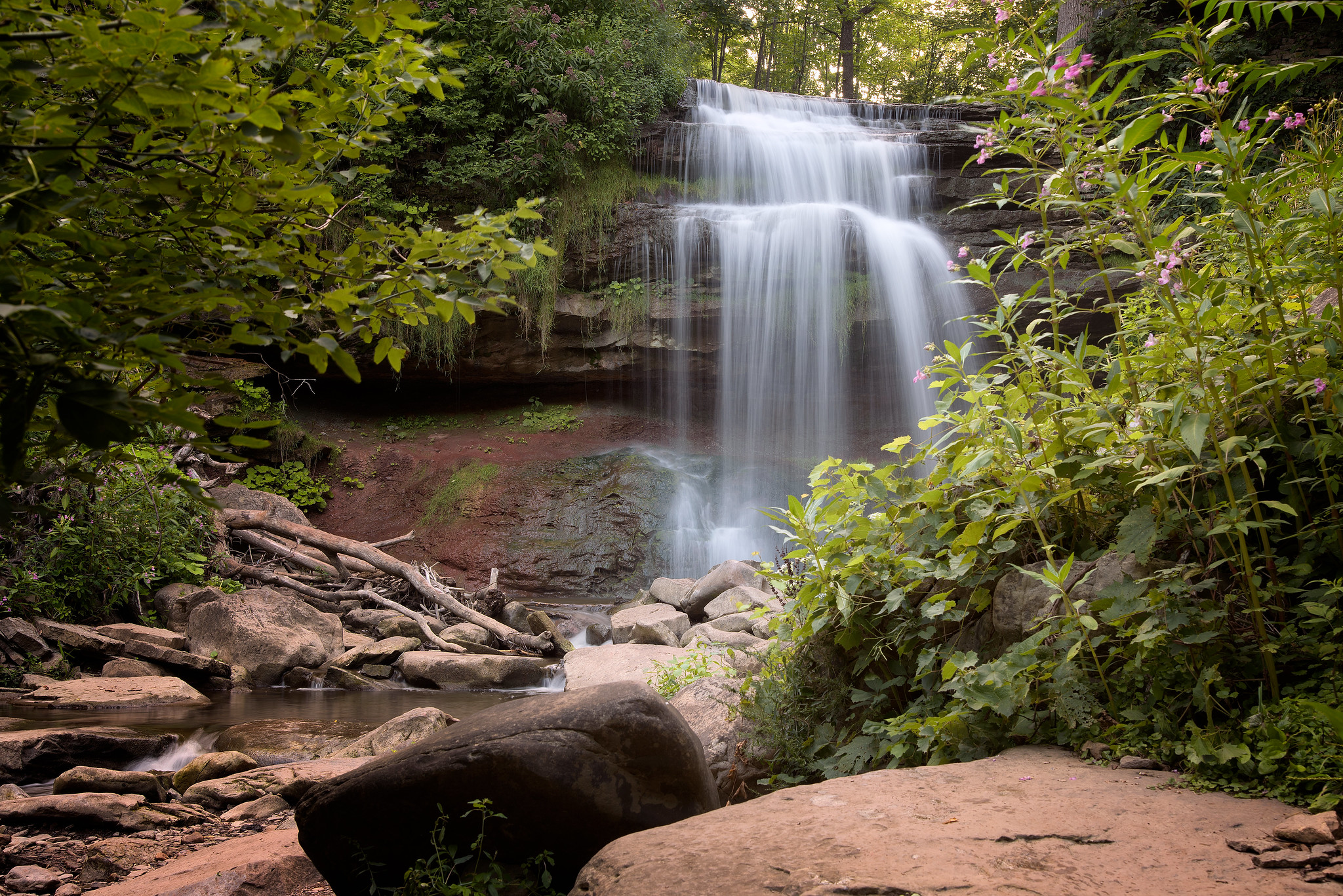 25 Must Visit Nature Attractions and Parks in Hamilton