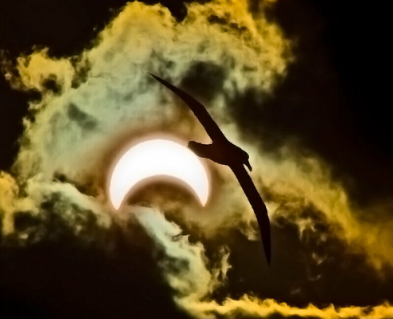 Citizen Scientist: Toronto Zoo Invites Kids to Document Animal ...