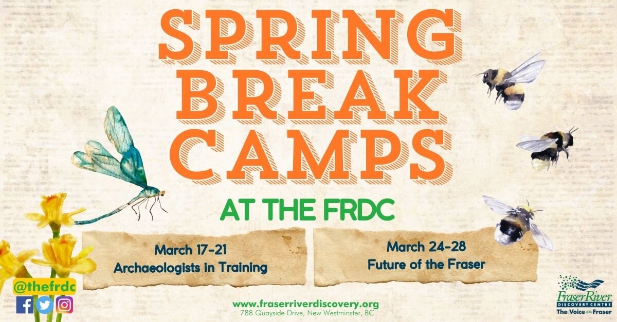 Spring Break Camps