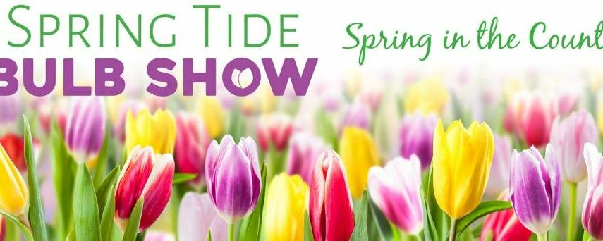 Spring Tide Bulb Show