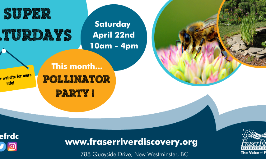 Super Saturday – Pollinator Party!