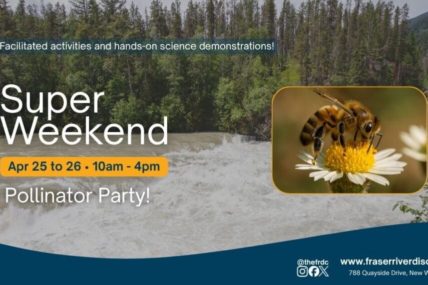 Pollinator Party!