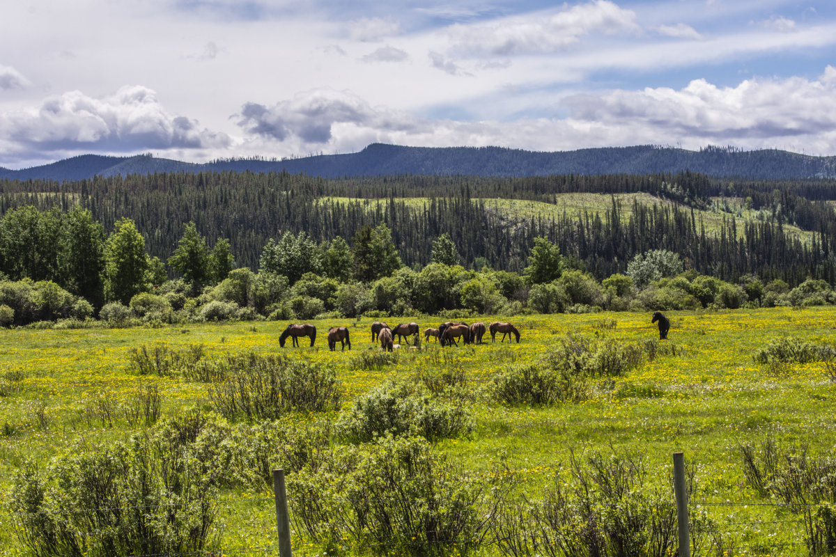 15 Small Towns For a Weekend Trip in Alberta