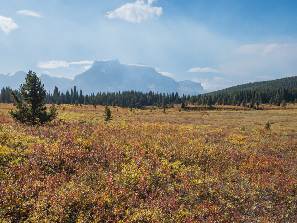 Sunset Pass & Lookout Hiking Trails Offer Spectacular Views of Untamed ...