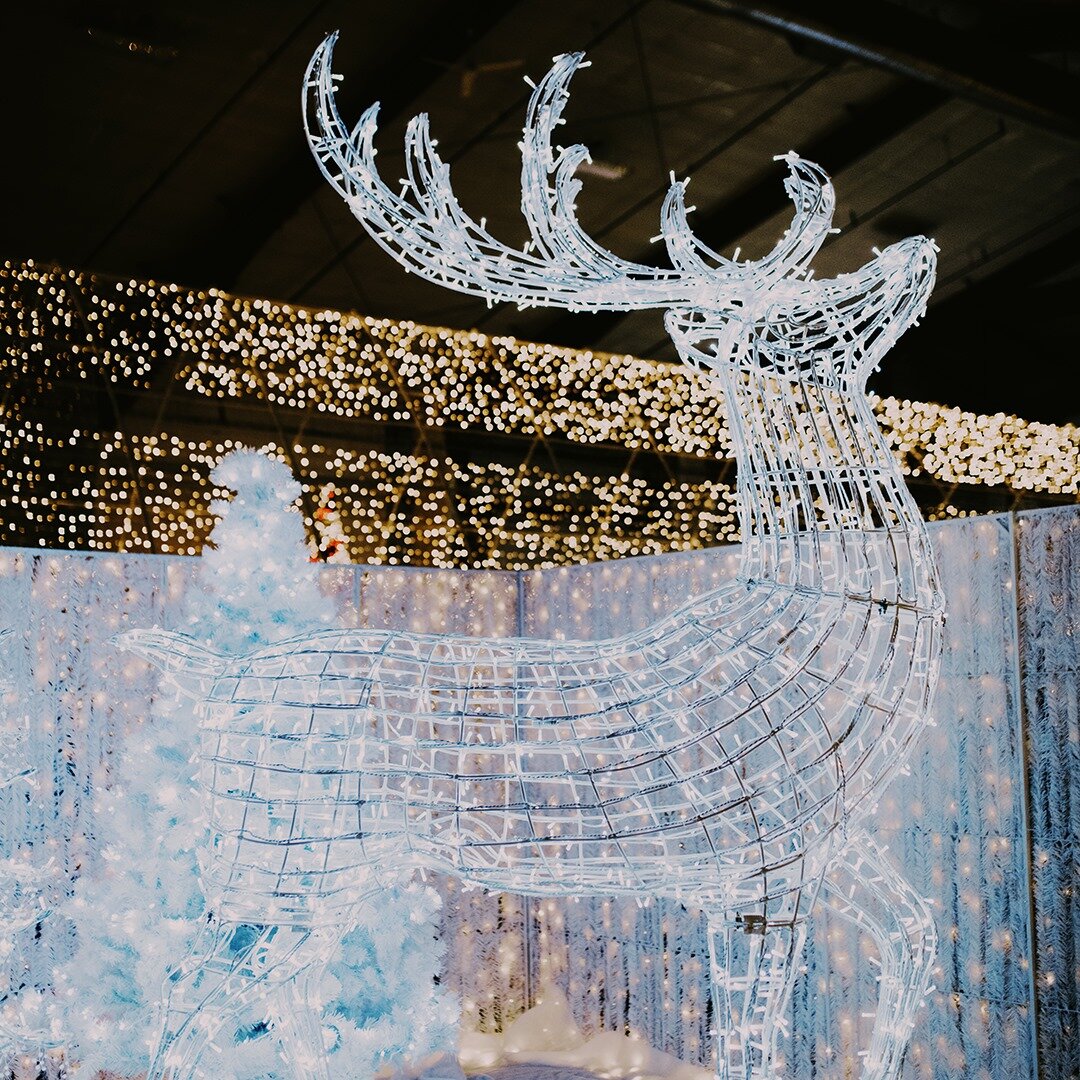 Best Places to See Christmas and Holiday Light Displays in and Around ...