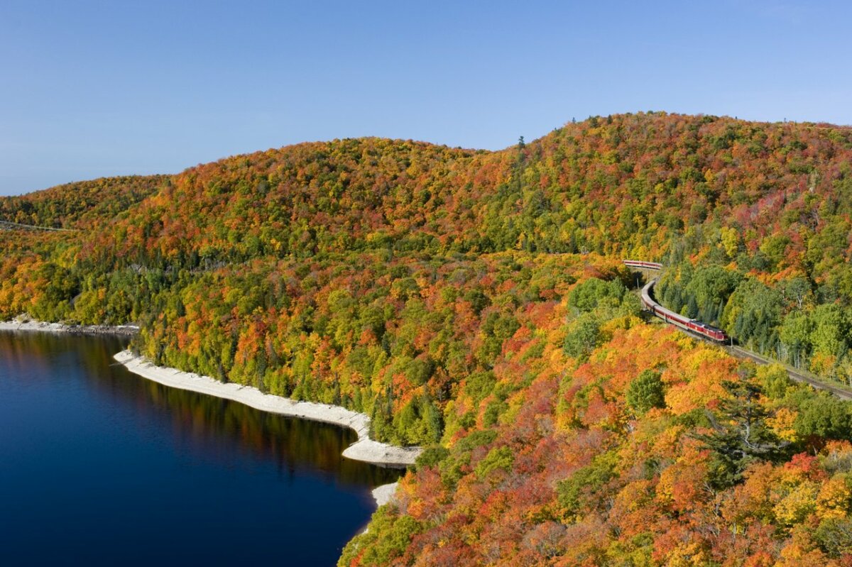 Agawa Canyon Train Tour: Explore Canadian Shield and Spectacular Fall ...