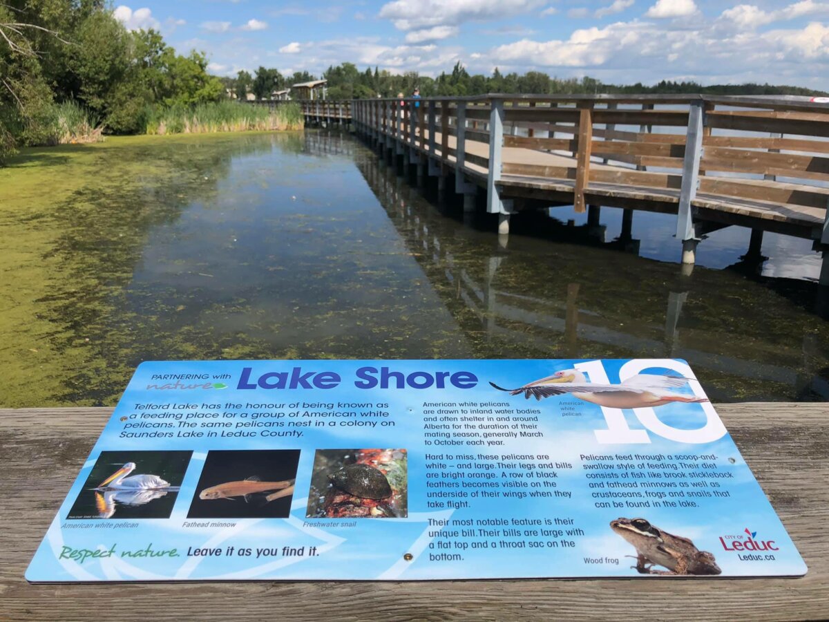 20+ Fun Things to Do in and Around Leduc This Summer