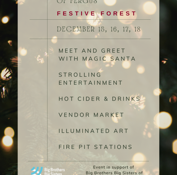 The Enchanted Forest of Fergus