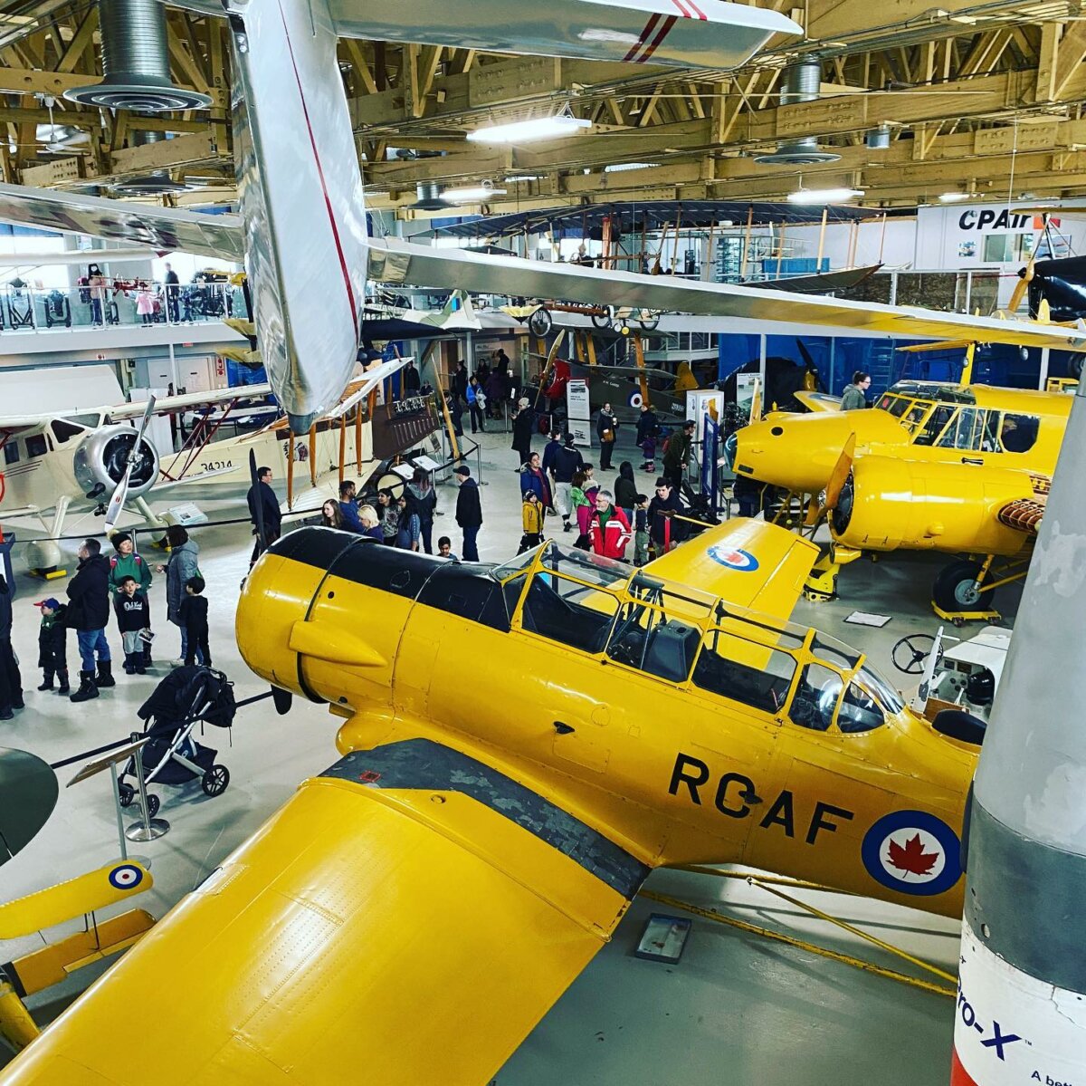 Things to Do to Celebrate Father's Day in Calgary | To Do Canada