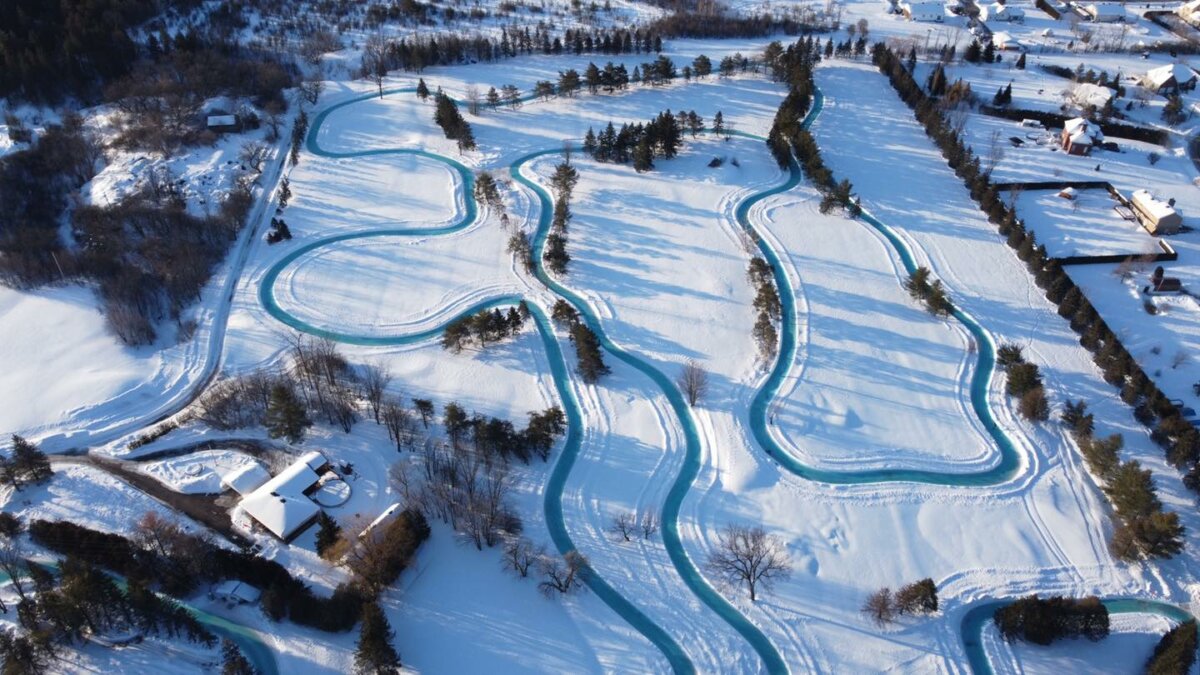 Little Penguin Trail: Explore This Enchanting 5.5 km Ice Trail with ...