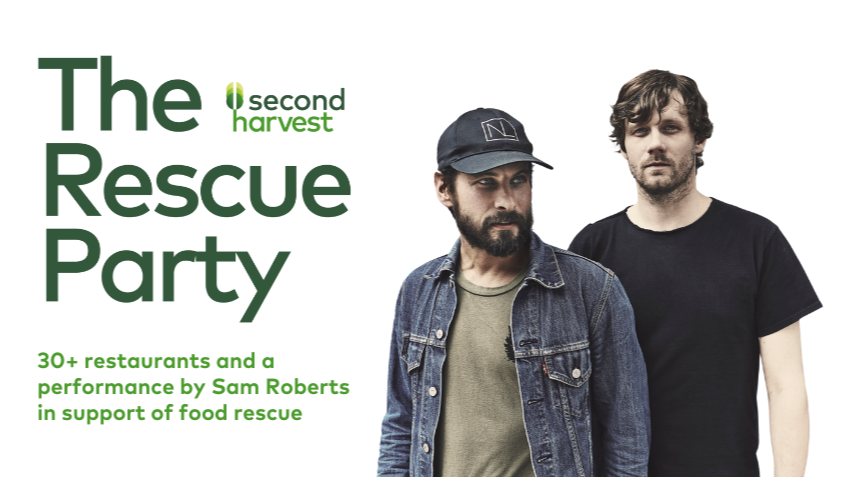 The Rescue Party