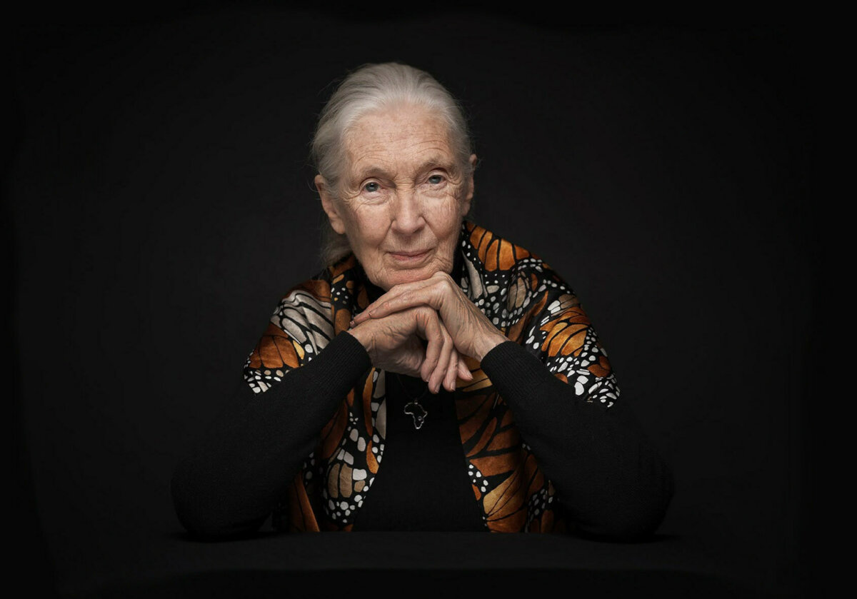 Jane Goodall Coming to Halifax & Montreal This May
