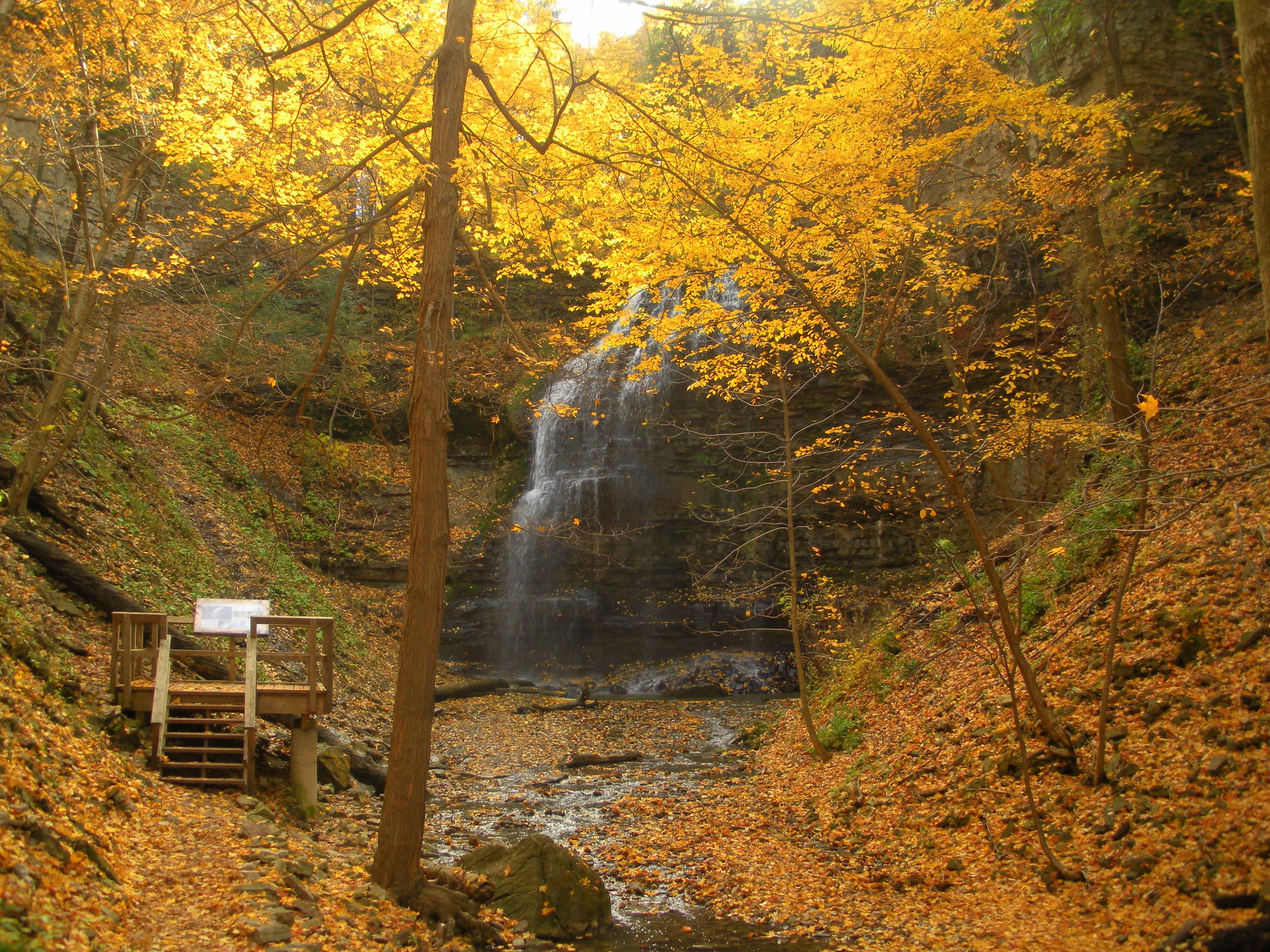 25 Must Visit Nature Attractions and Parks in Hamilton
