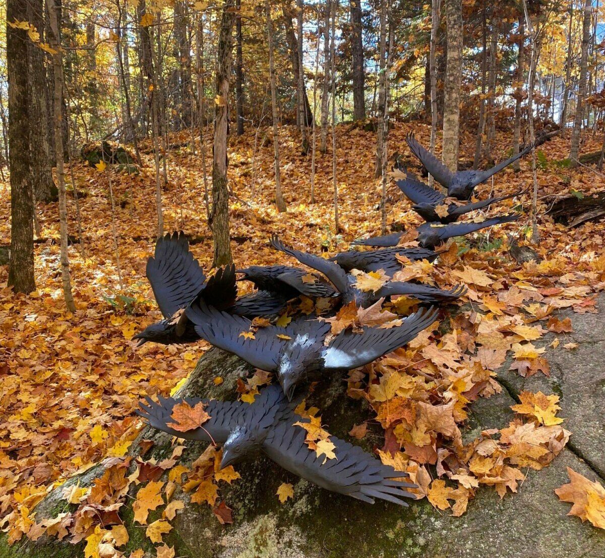 Top Fall Colour Adventures in Haliburton