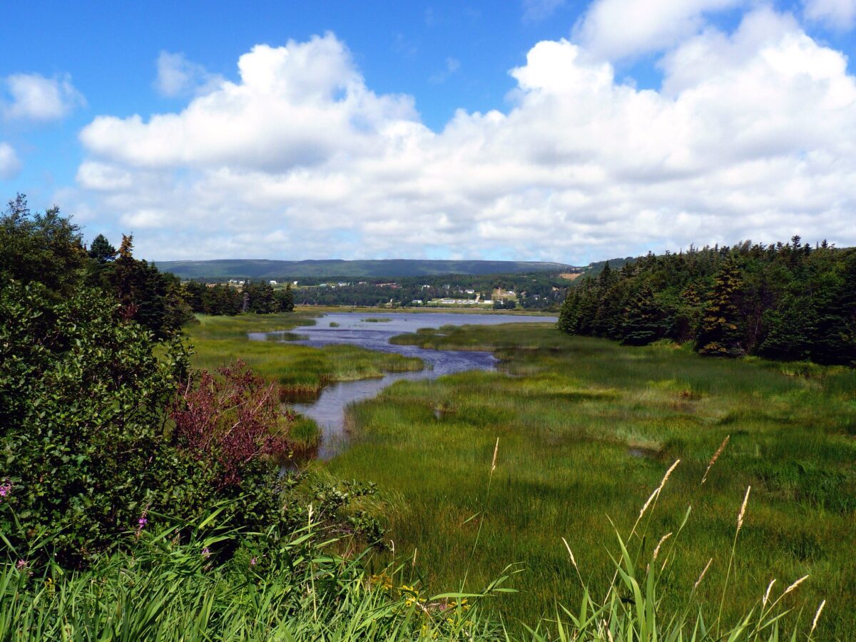 Top Things to Do at Codroy Valley: Explore Scenic Beaches, Trails, and ...