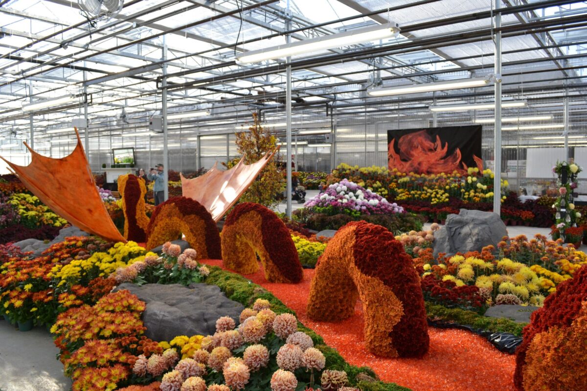 Dive Into an “Under the Sea” Floral Wonderland as Hamilton’s Iconic Mum ...