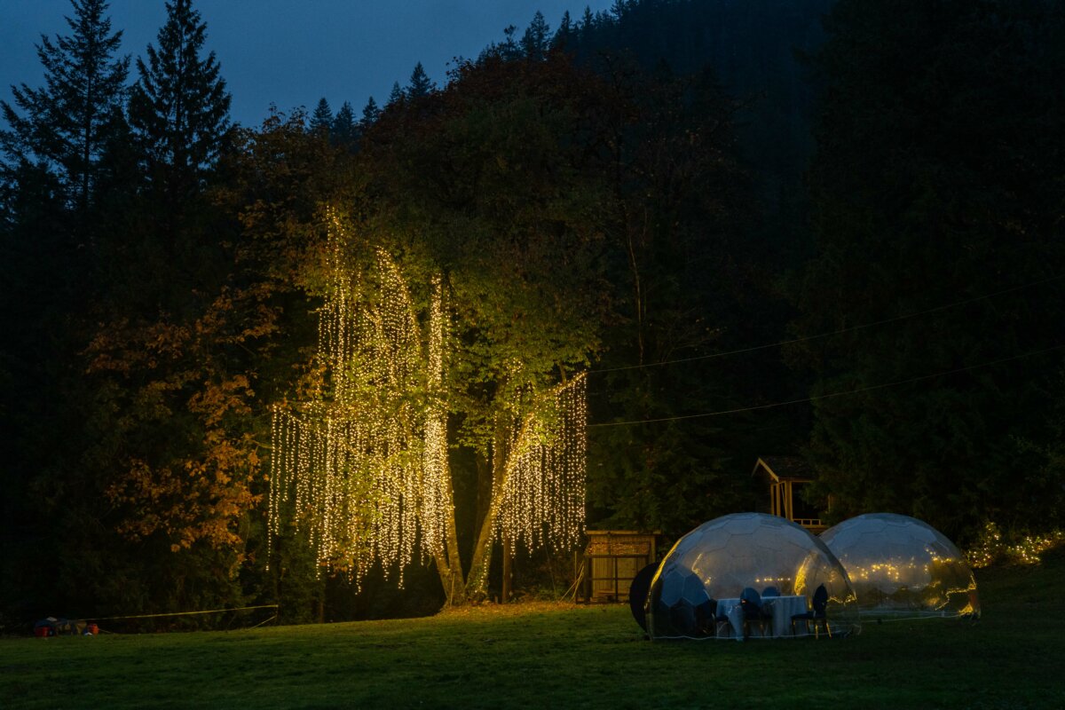 Christmas Tea Lights at Camp Howdy