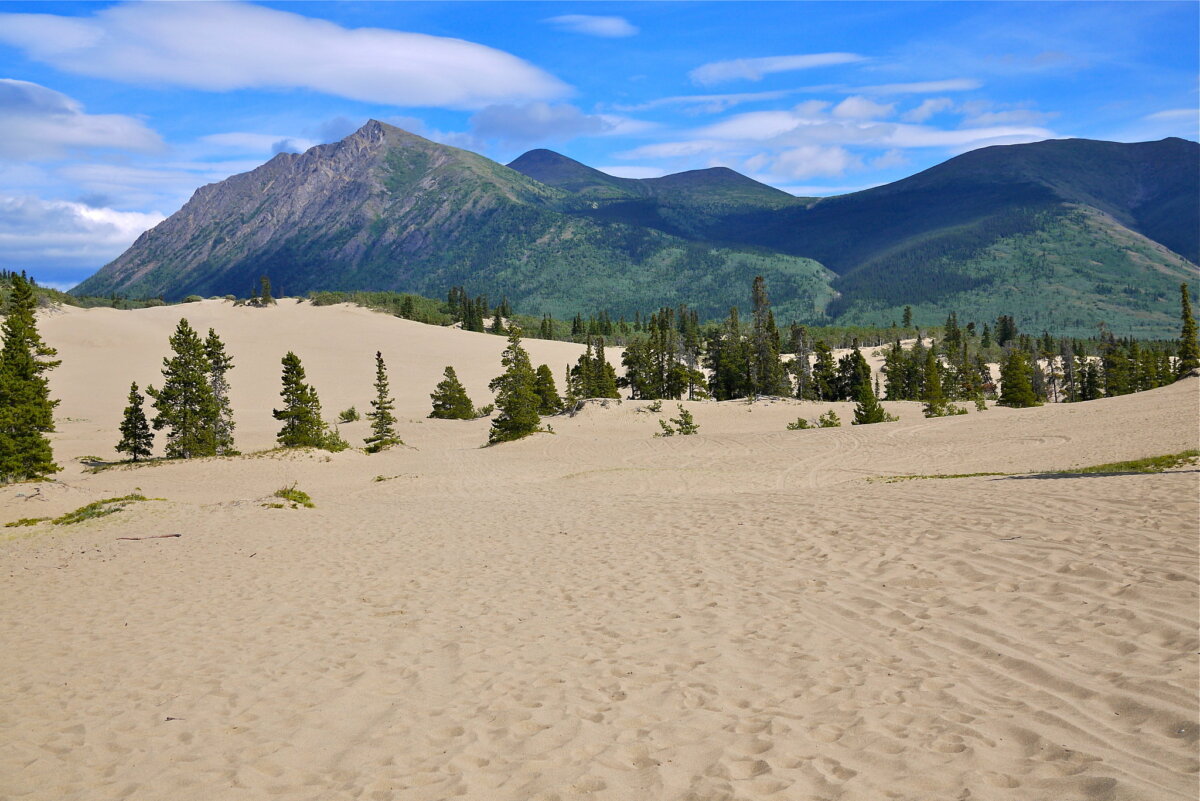Unique Landscapes: Must See Deserts and Sand Dunes in Canada