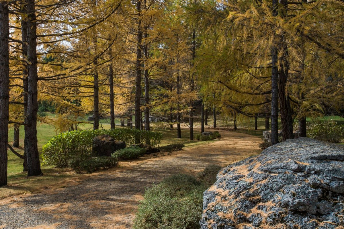 25 Fall Day Trips in and Around Edmonton