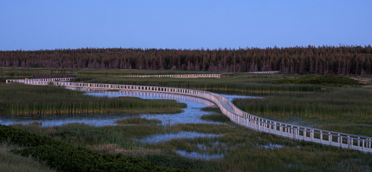 Unlock the Best of Greenwich & St. Peter’s Bay in PEI: Incredible Sand ...