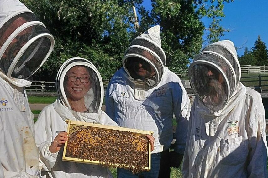 Honey Bee Hive Tours
