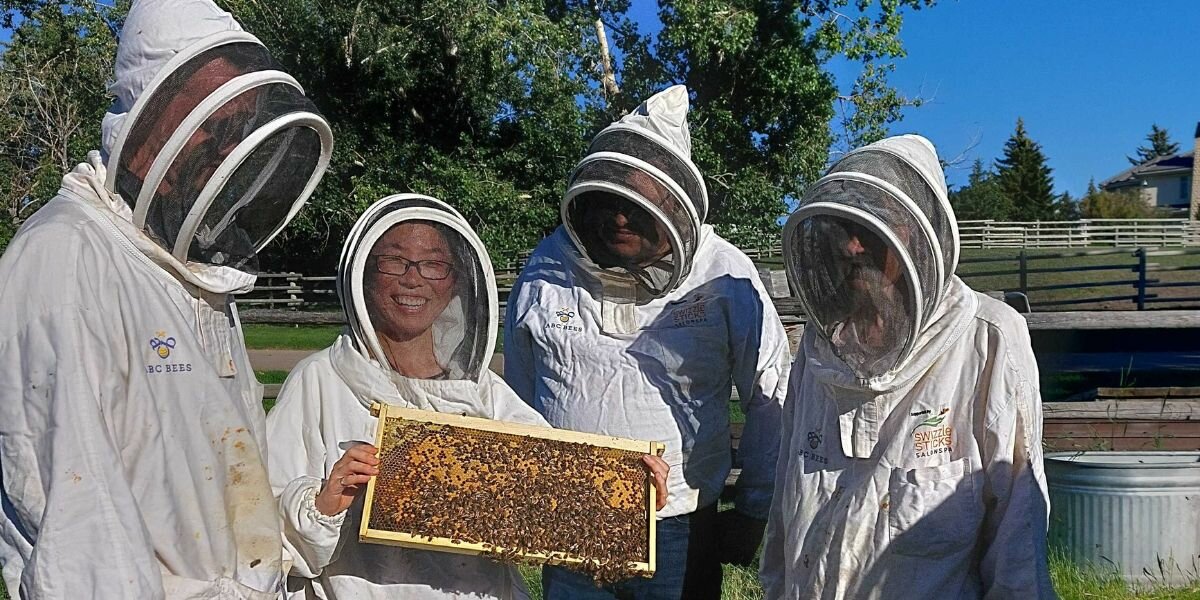 Honey Bee Hive Tours