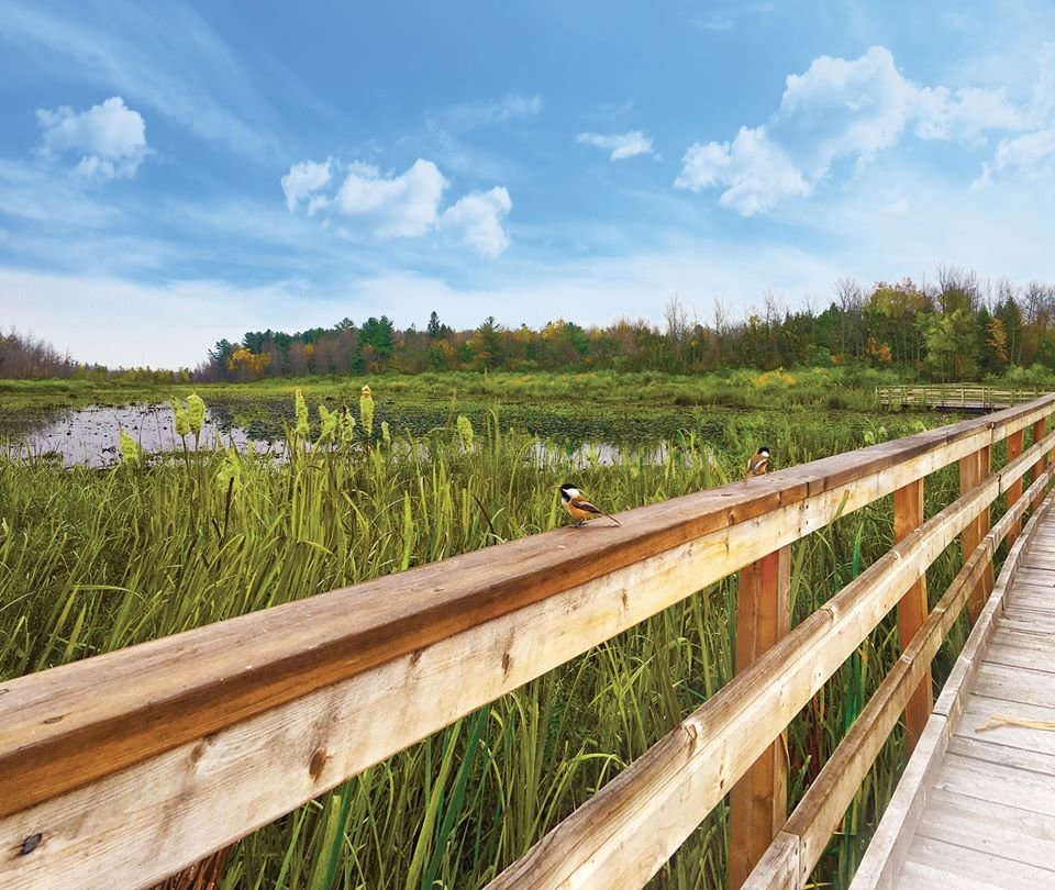 Ontario Road Trip: Discover 11 Islands on the Long Sault Parkway