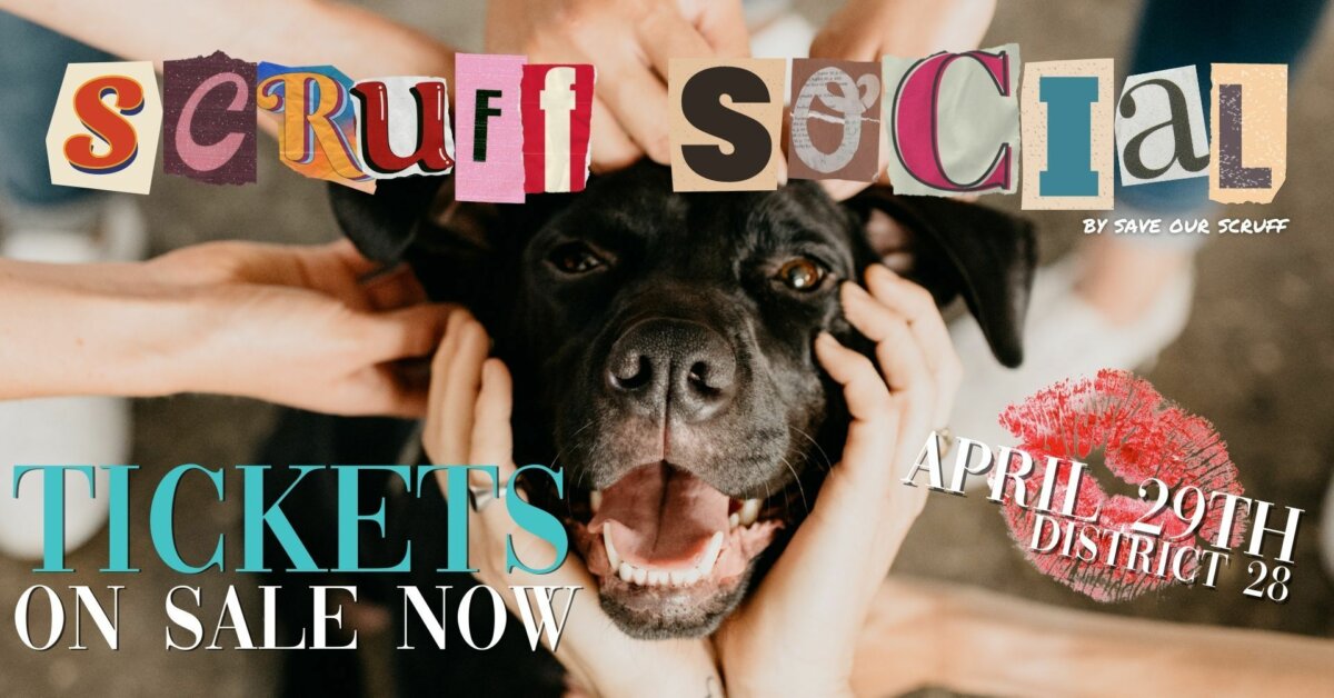 Scruff Social 4.0
