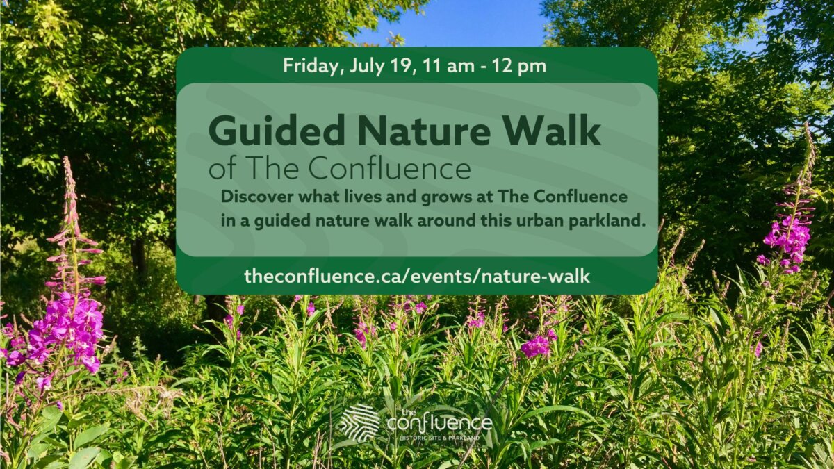 Guided Nature Tour of The Confluence
