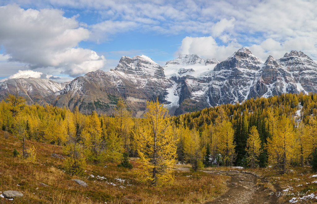 Visit Banff to See Golden Larches This Thanksgiving Weekend