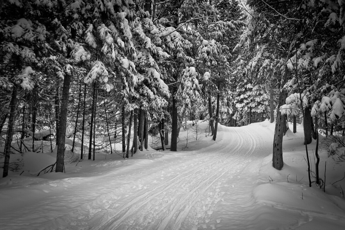 Wasaga Beach Provincial Park – A Picturesque Winter Escape With Frozen ...