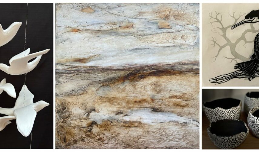 New exhibition: Transformation & Adaptation – Anthea Cameron and Carol ...