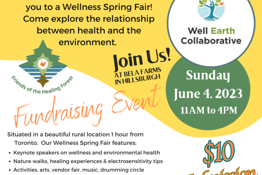 Well Earth Collaborative: Spring Wellness Fair