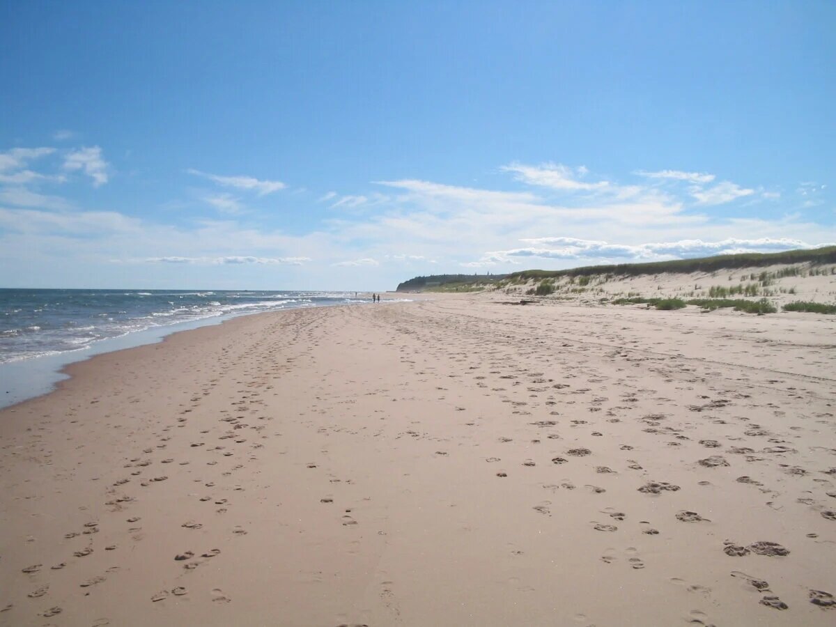 Where Sand Sings: The Charms of Basin Head Provincial Park on PEI