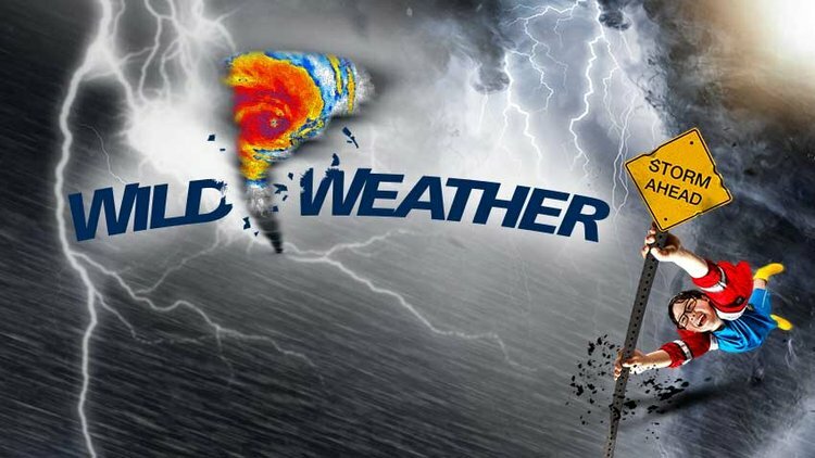 Wild Weather