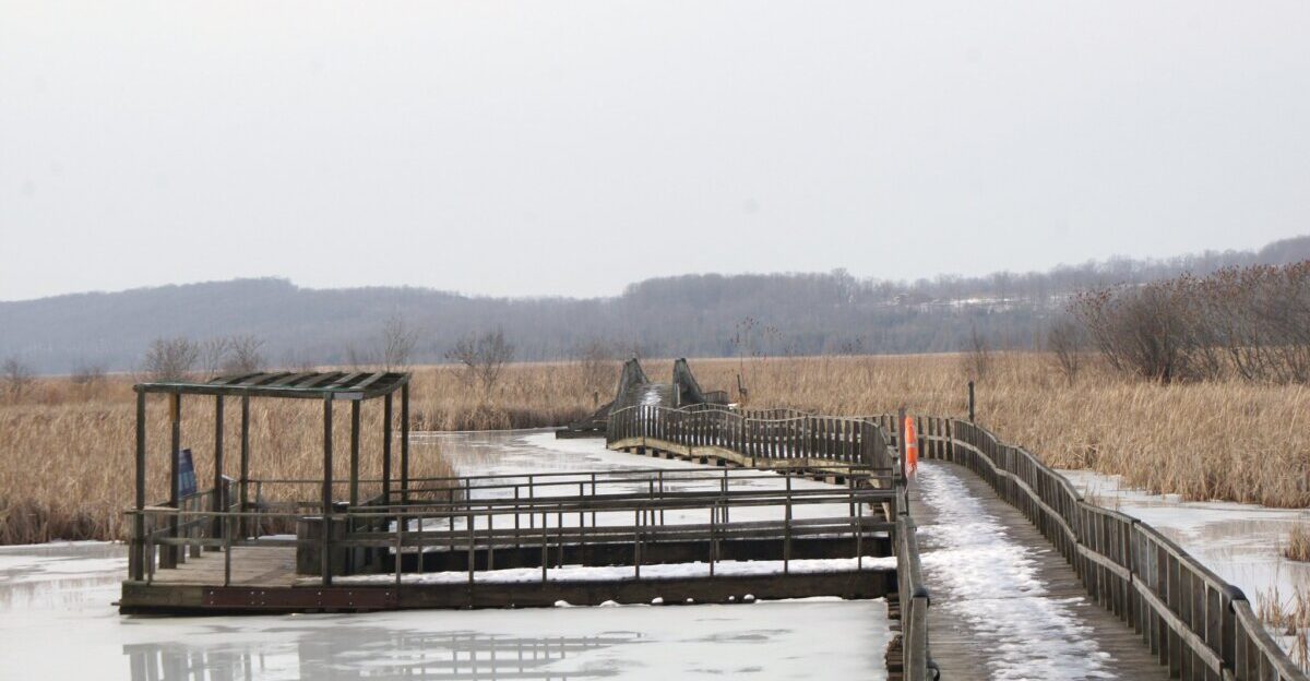 From Boardwalks to Canoe Trips: Why Wye Marsh Wildlife Centre Is a Must ...