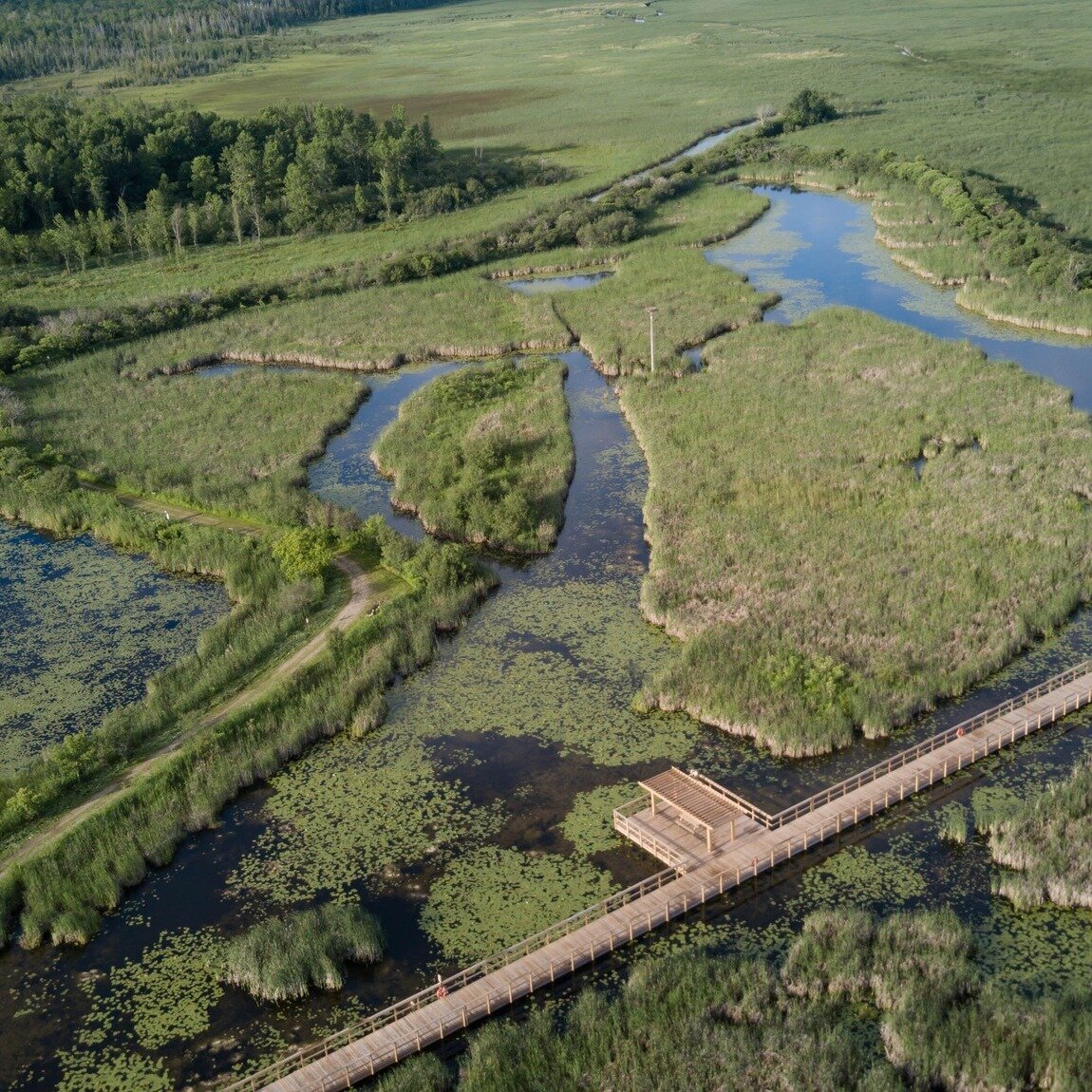 From Boardwalks to Canoe Trips: Why Wye Marsh Wildlife Centre Is a Must ...