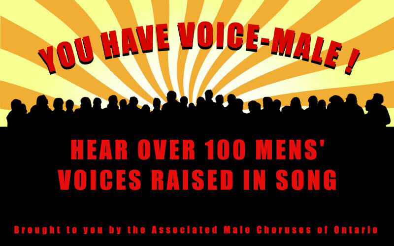 You Have Voice-Male!