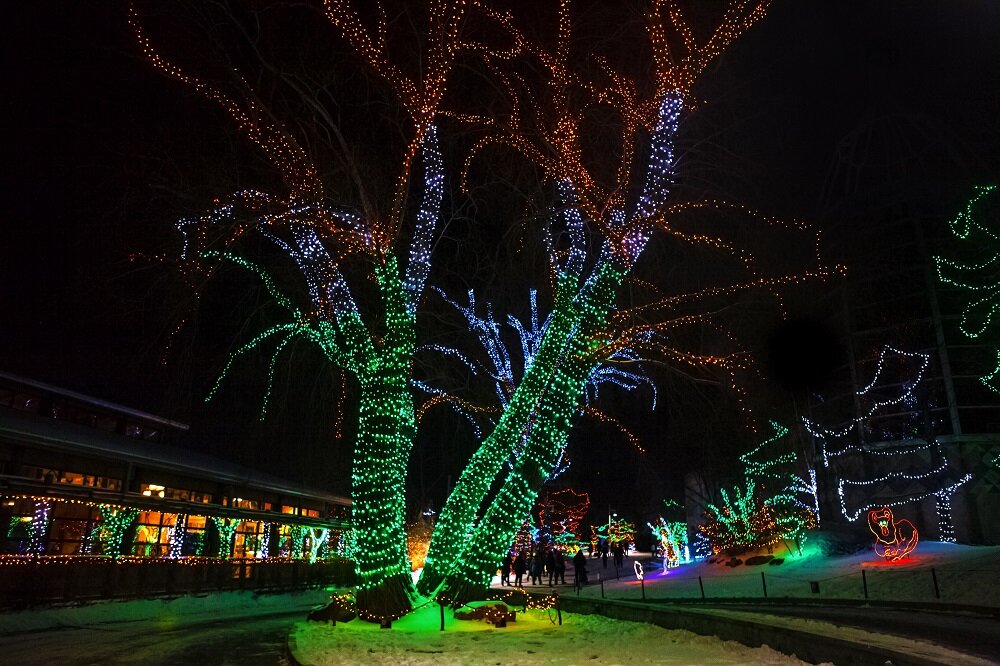Calgary Zoo’s Holiday Light Festival Returns For the 25th Year With ...