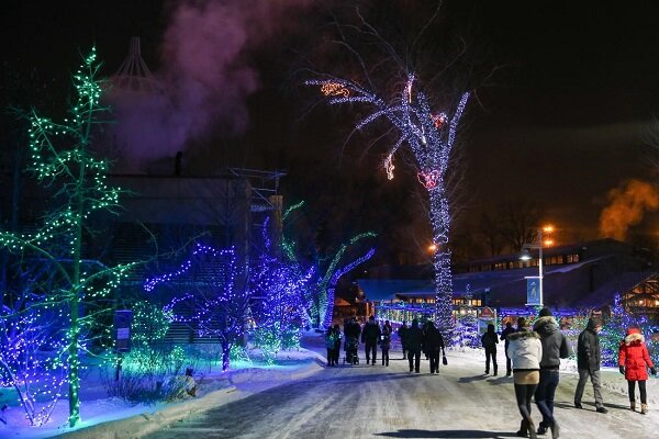 Calgary Zoo - ZOOLIGHTS | Calgary Zoo, 210 St. George's Drive NE ...