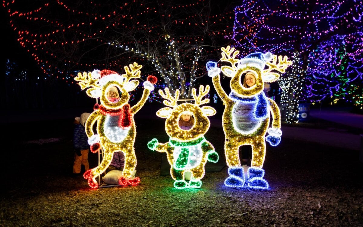 What is New at 2024 Edition of Assiniboine Zoo Lights in Winnipeg