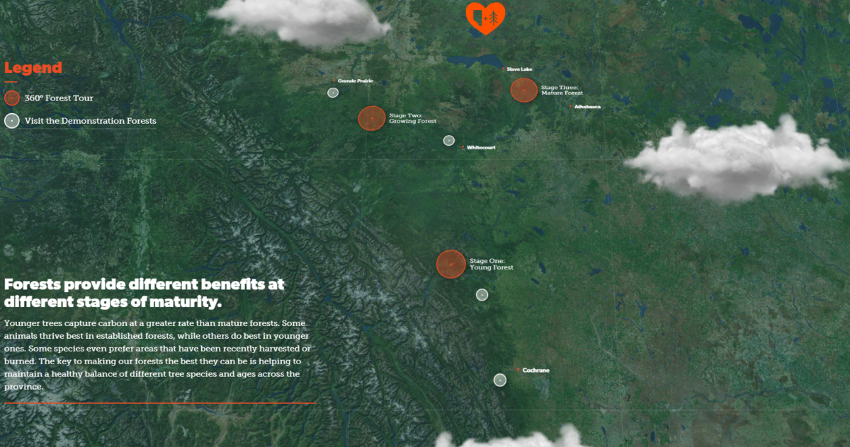 You Can Now Explore Alberta’s Forests Virtually