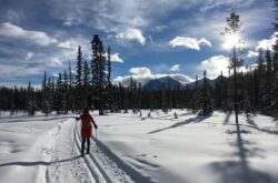 Things to do in Banff in January | To Do Canada